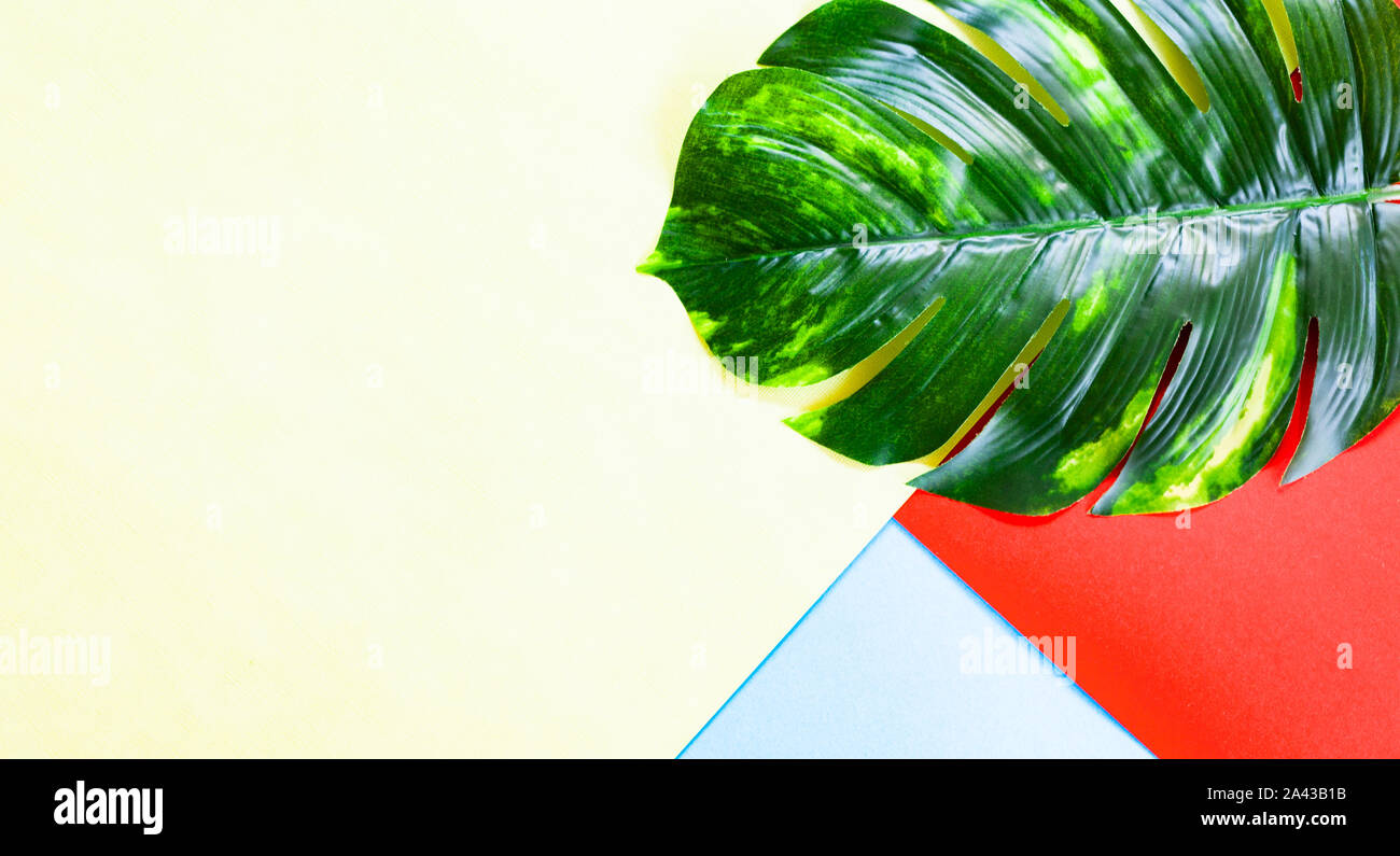 summer background of bright colors yellow and blue and tropical leaves ...