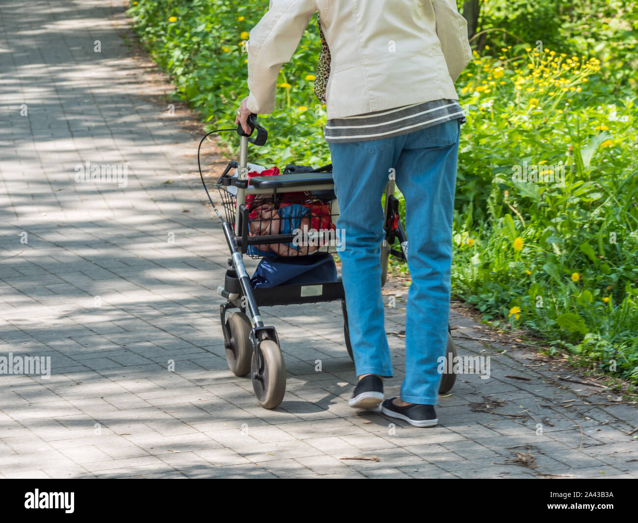Medical rollator walker hi-res stock photography and images - Alamy