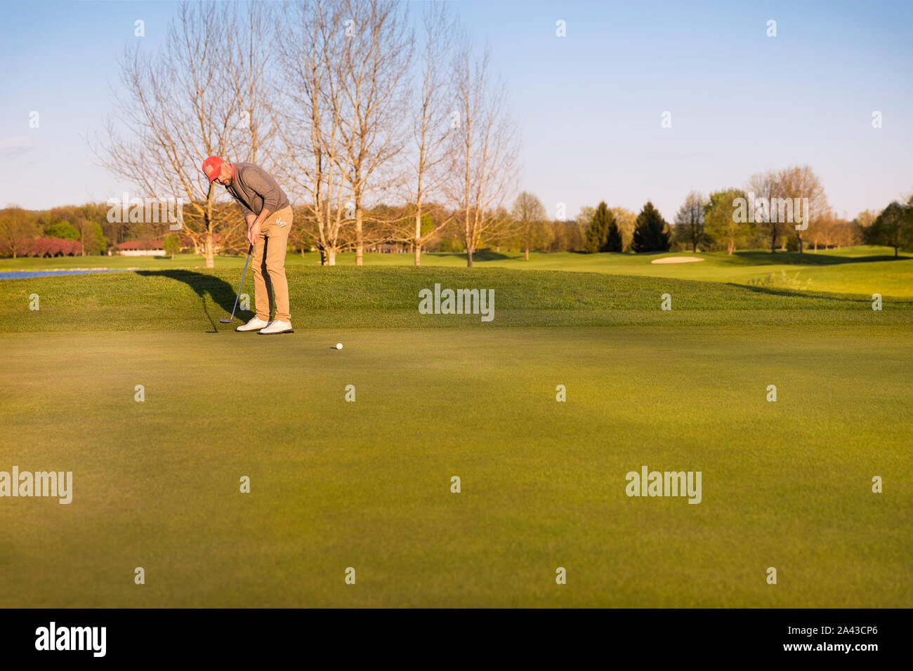Golfer putting at green Stock Photo - Alamy