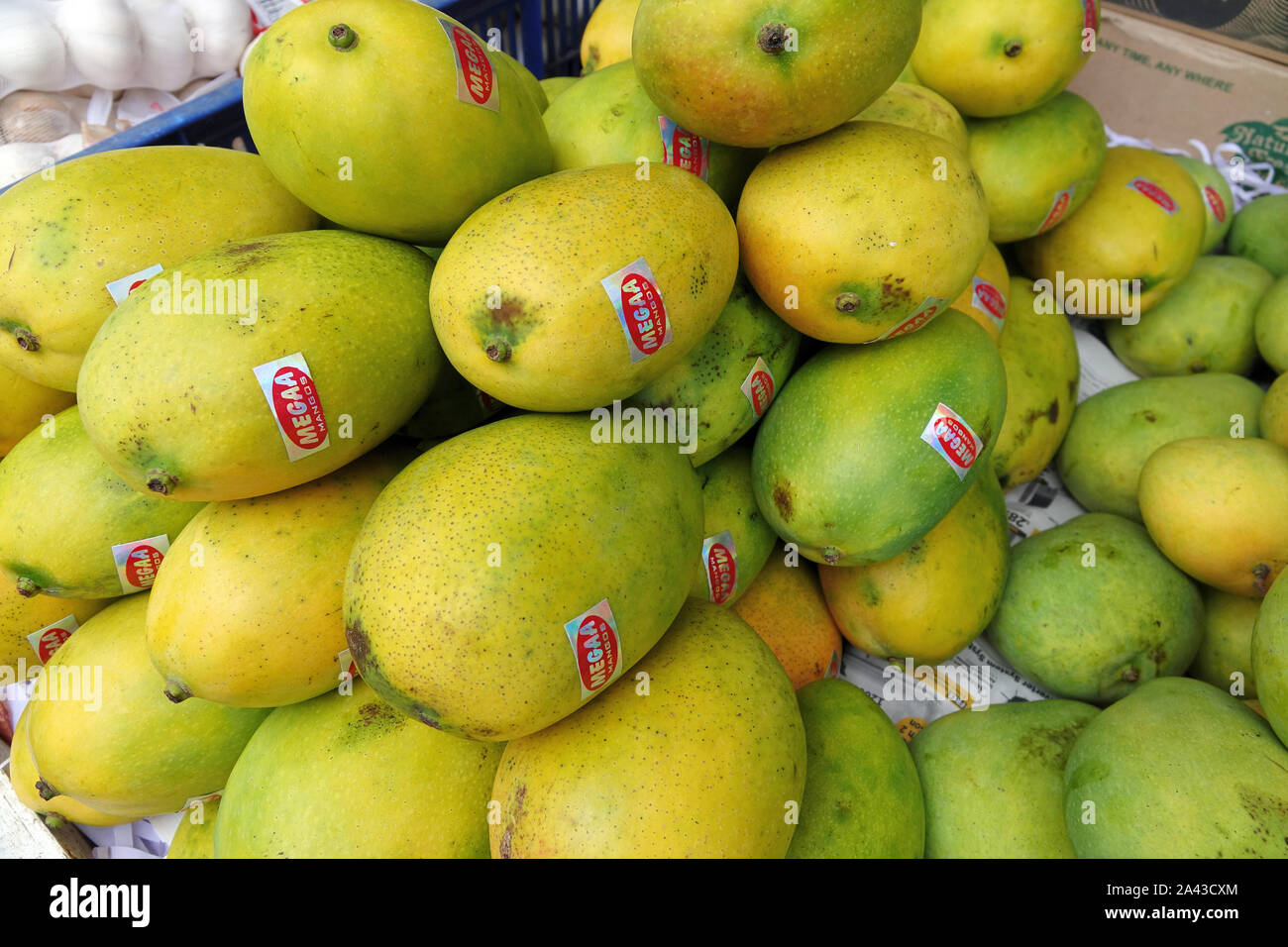 mango, fruits, Singapore, Southeast Asia Stock Photo - Alamy