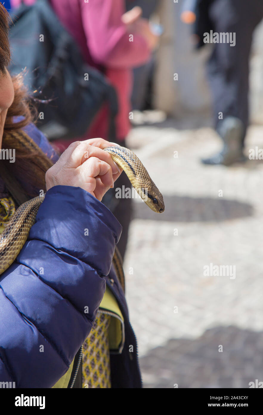 Woman holding a snake hi-res stock photography and images - Alamy