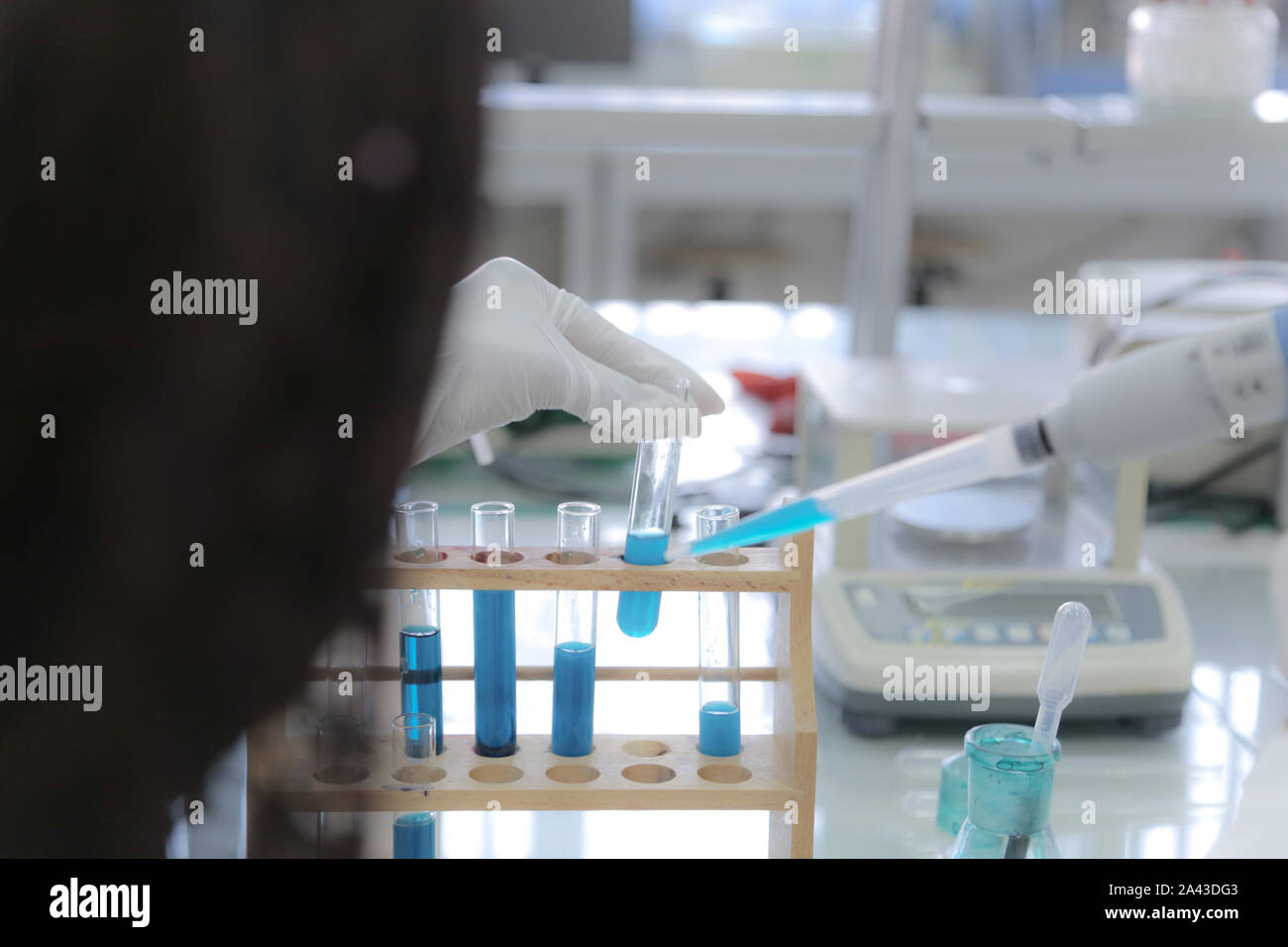 Young African Female Laboratory scientist working at lab with test ...