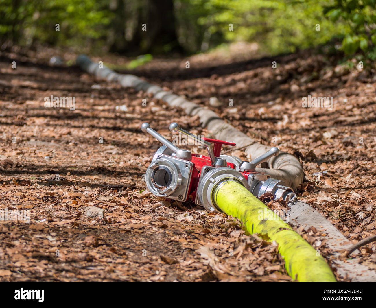 Fire hose forest fire in Germany Stock Photo - Alamy