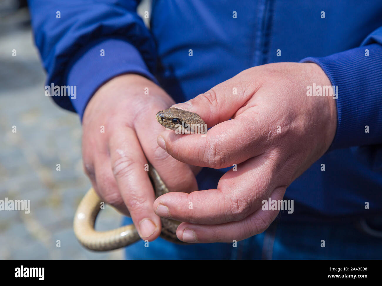 Blooded hands hi-res stock photography and images - Alamy