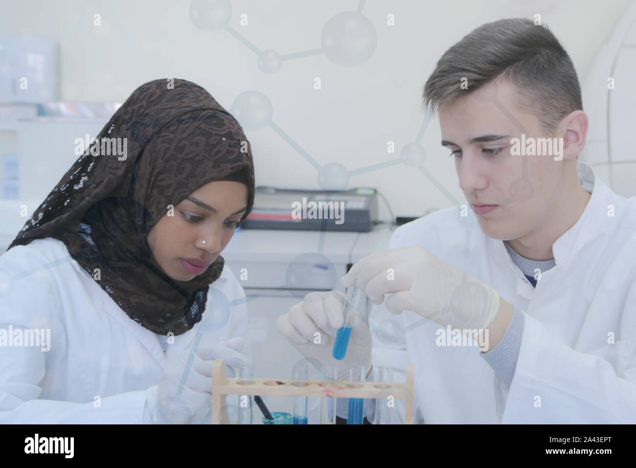 Two young student scientists doing experiments in laboratory Stock ...