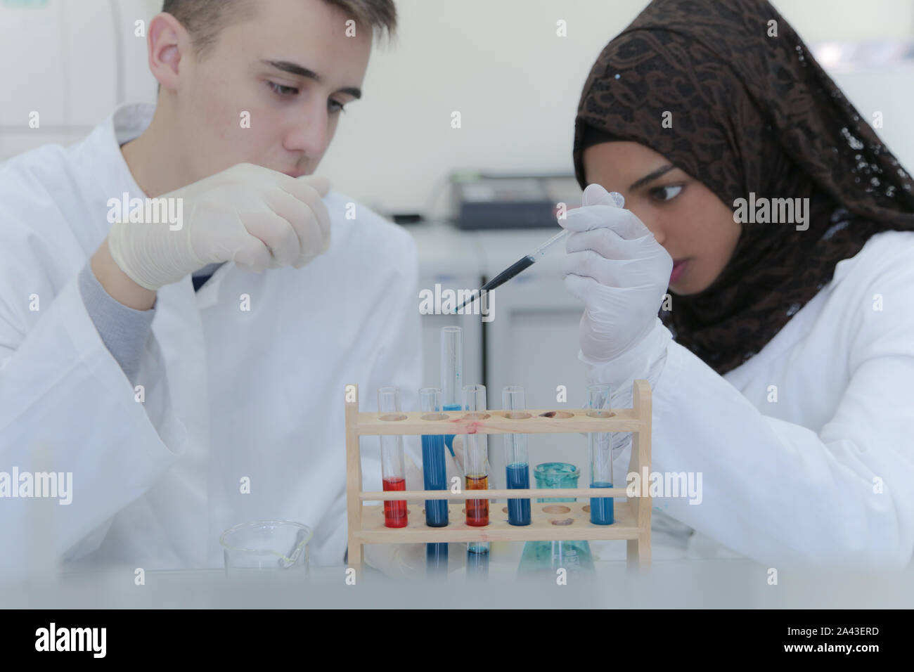Two young student scientists doing experiments in laboratory Stock ...