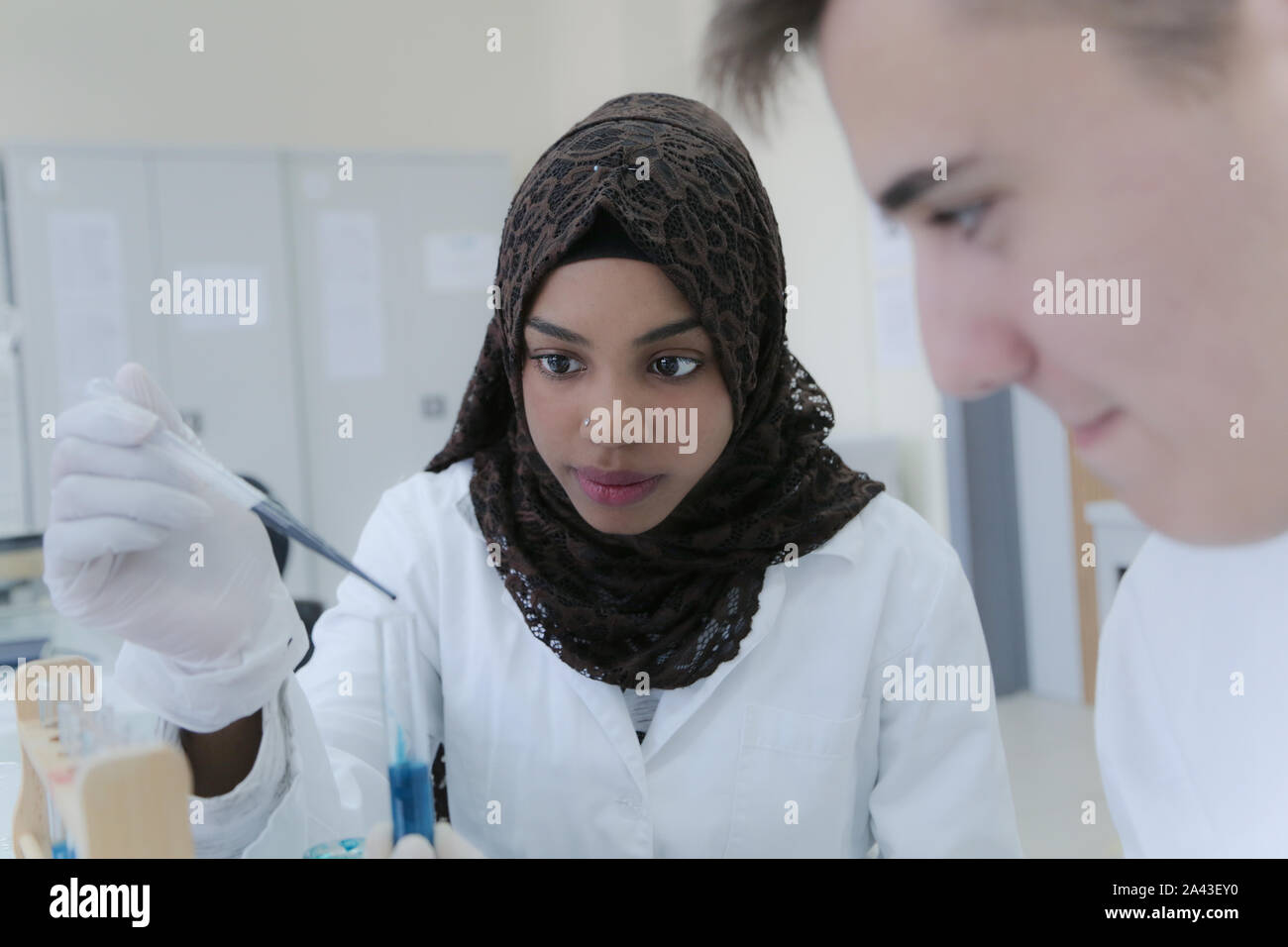 Two young student scientists doing experiments in laboratory Stock ...