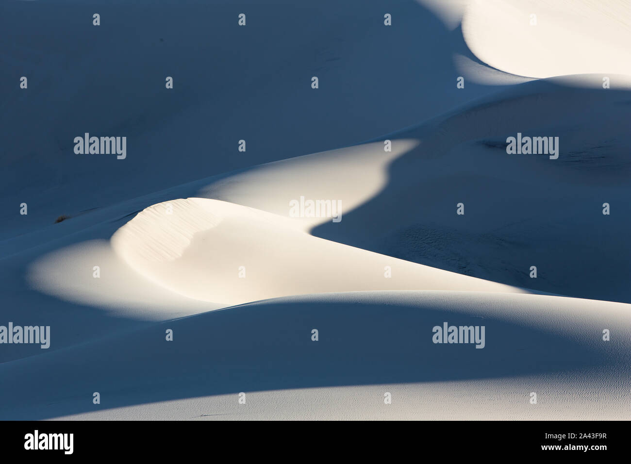 The contrast of shadows across white sand dunes Stock Photo - Alamy