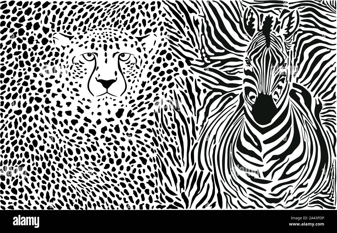 Modern zebra pattern Stock Vector Images - Alamy