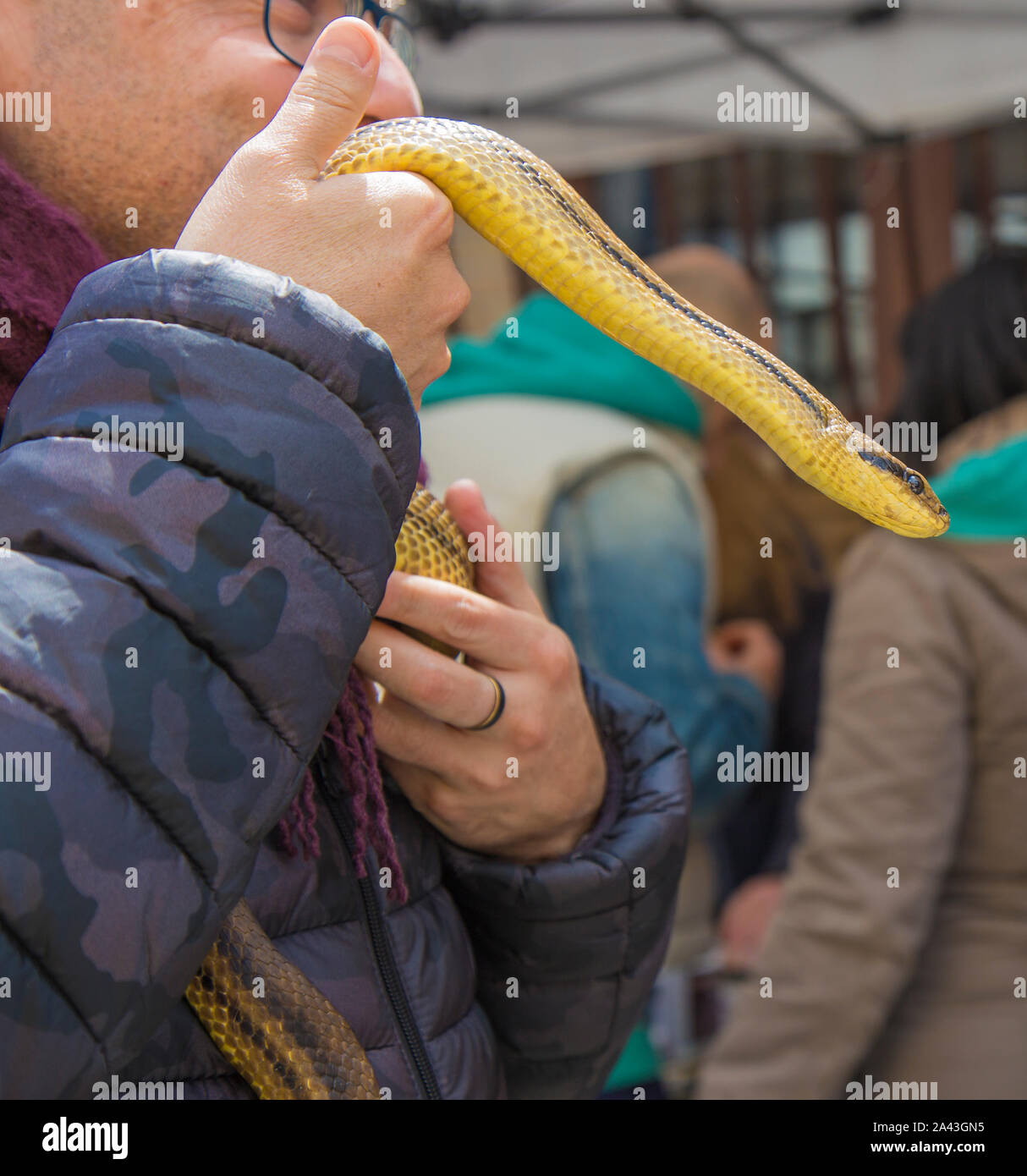 Person snake skin hi-res stock photography and images - Alamy