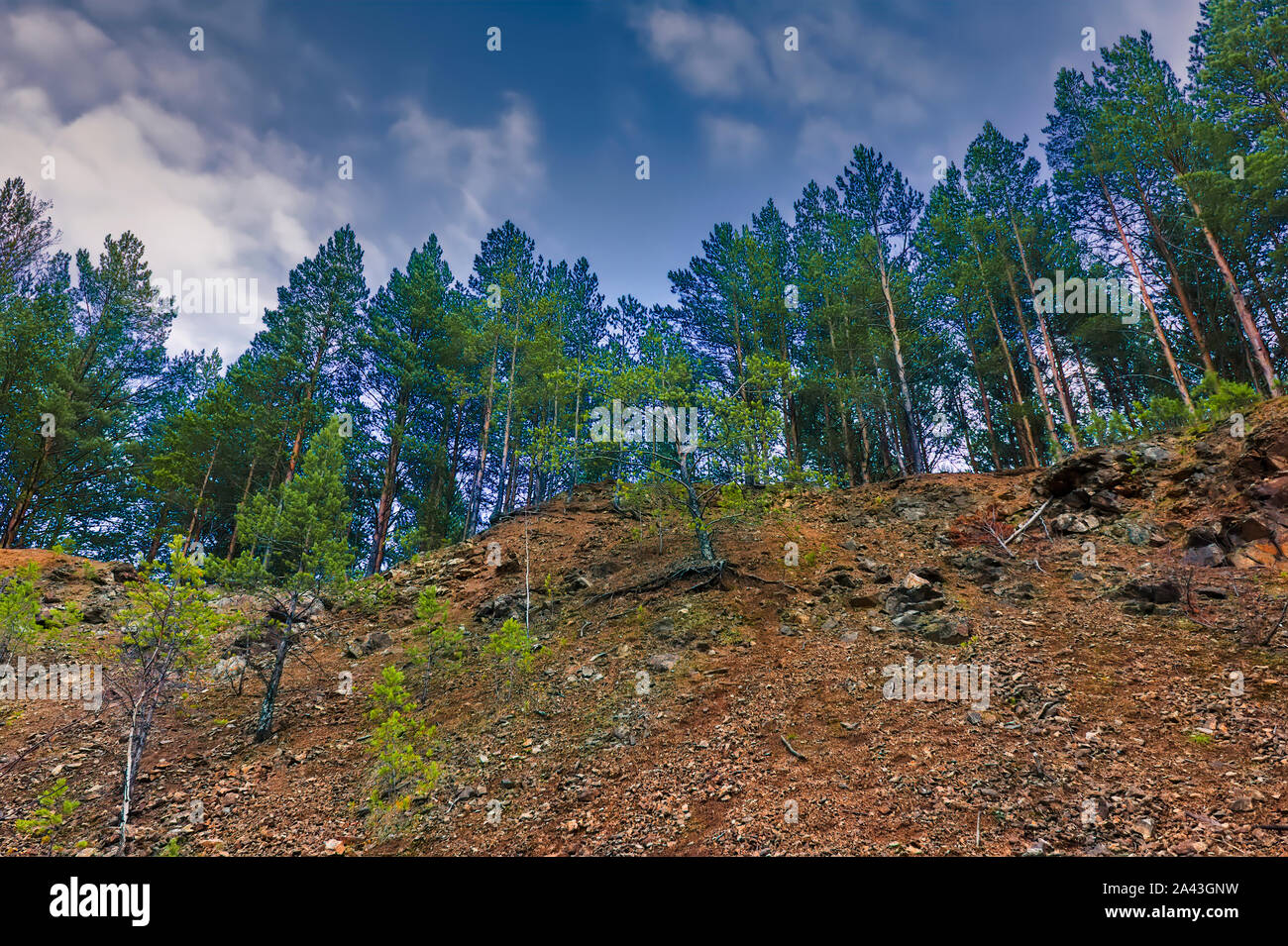 Beautiful mystical forest in autumn. Colorful landscape. Fall colors in ...