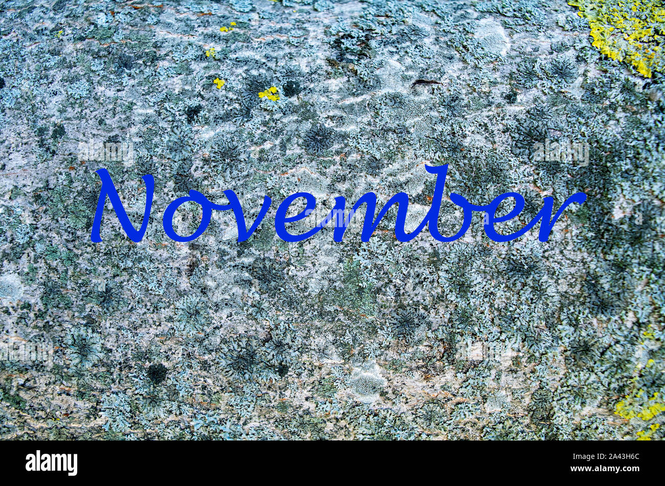 November word hi-res stock photography and images - Alamy