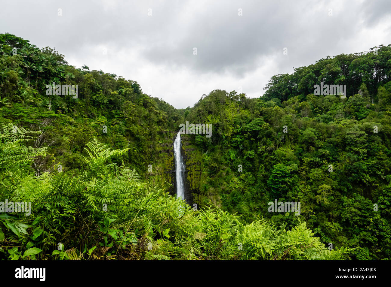 Akaka fall state park waterfall hi-res stock photography and images - Alamy