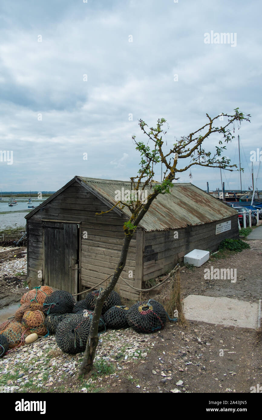 West Mersea on Mersea Island, Essex is well known for it's oyster ...