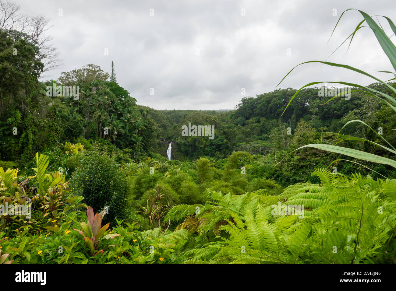 Akaka fall state park waterfall hi-res stock photography and images - Alamy