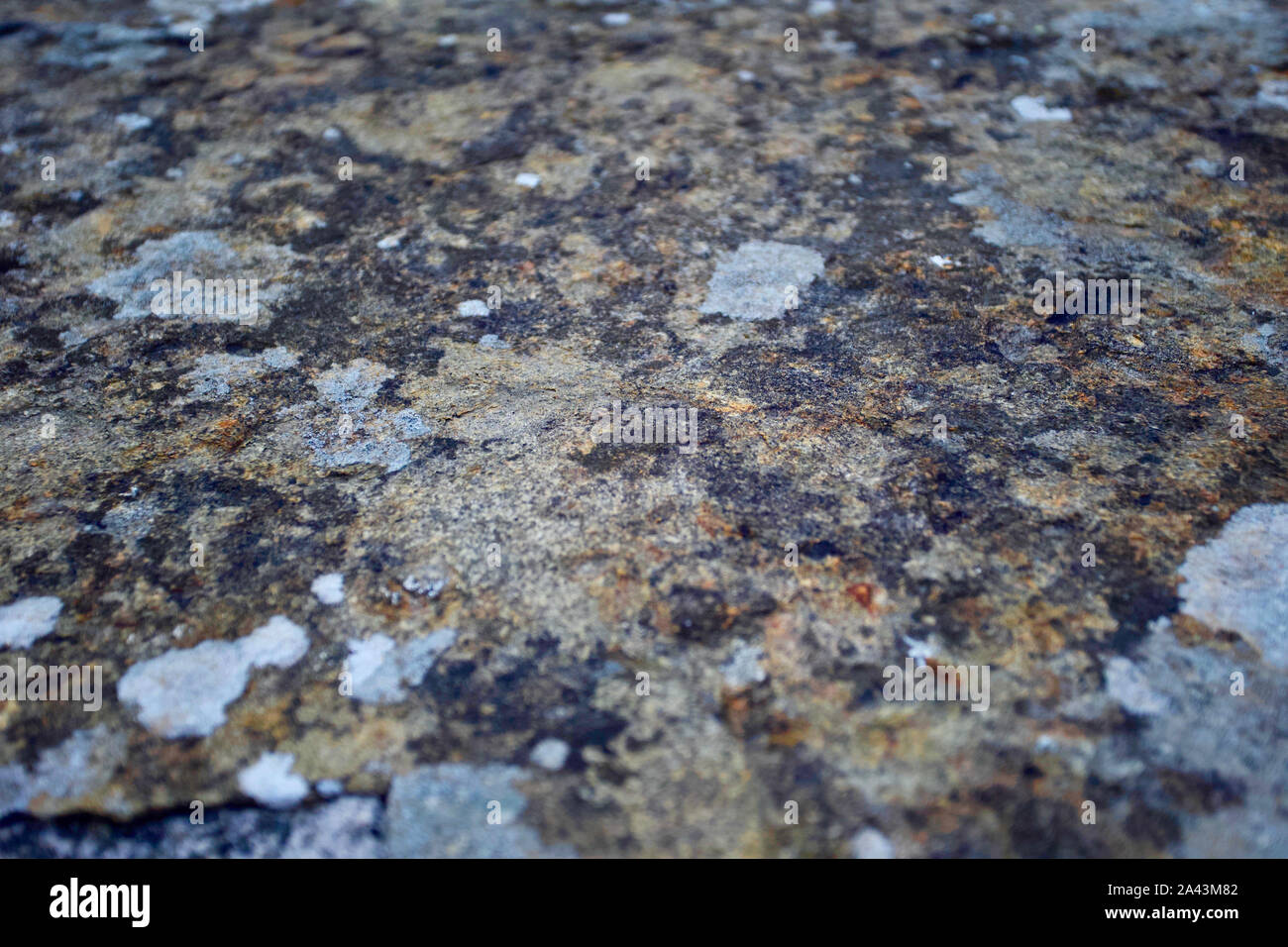 View of wernberg castle hi-res stock photography and images - Alamy