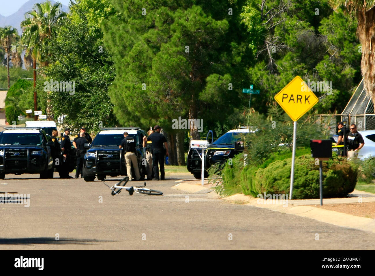 Multiple Police officers at a crime scene in Tucson AZ Stock Photo - Alamy