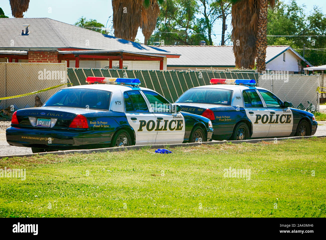 Tucson Police Department vehicles parked at the scene of a shooting in ...