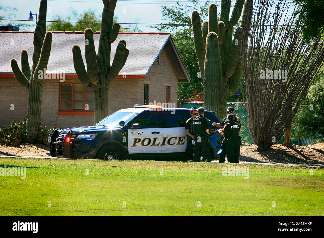 Multiple Police officers at a crime scene in Tucson AZ Stock Photo - Alamy
