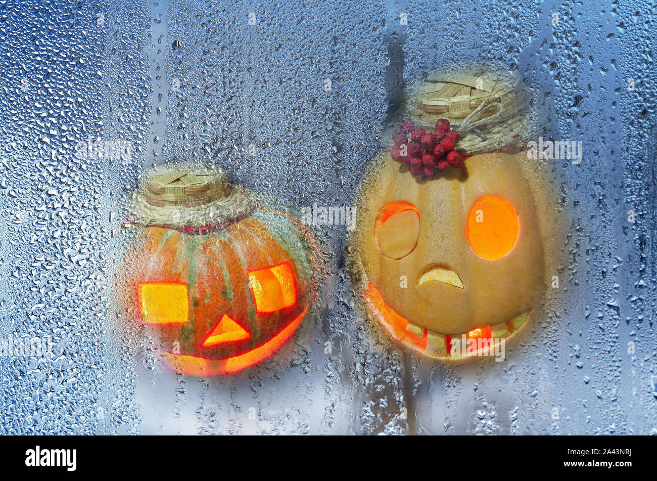 Creepy Halloween pumpkins look out the window from the street Stock ...