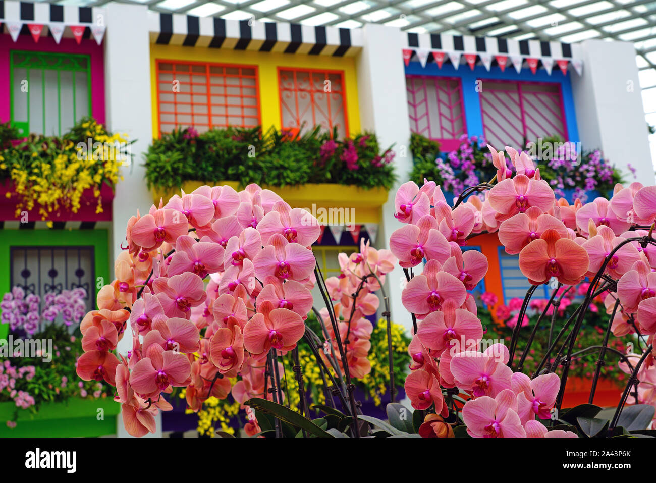 SINGAPORE -25 AUG 2019- View of flowers and plants inside the Flower ...
