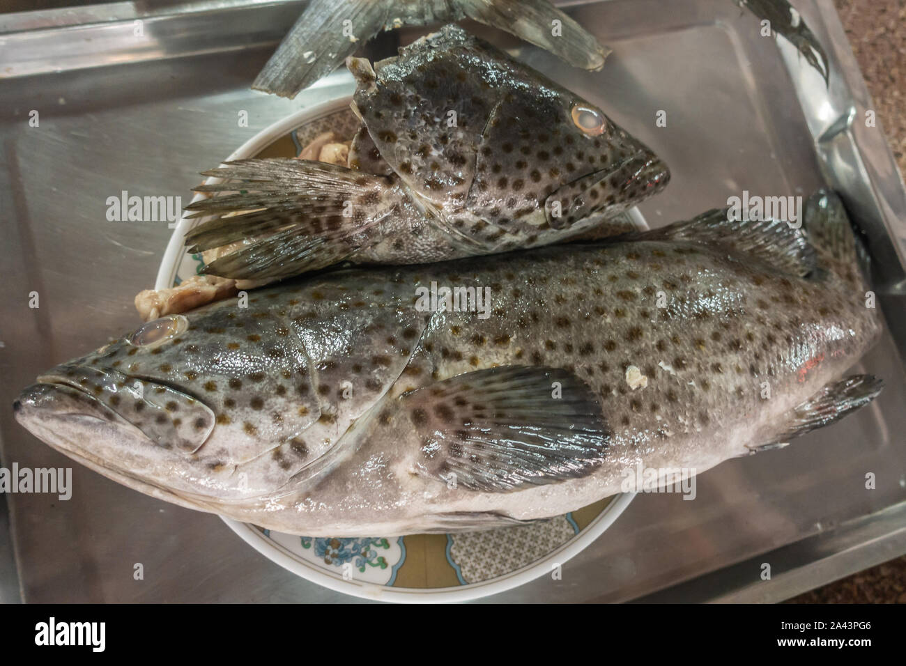 Buri fish hi-res stock photography and images - Alamy