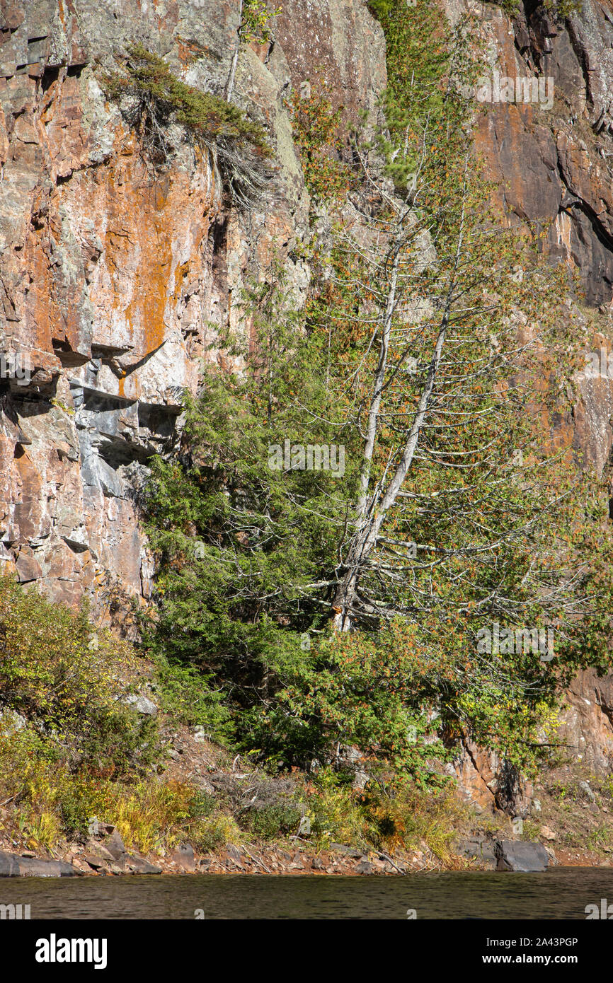 Jagged vertical wall of Barron Canyon with granite and trees Stock ...