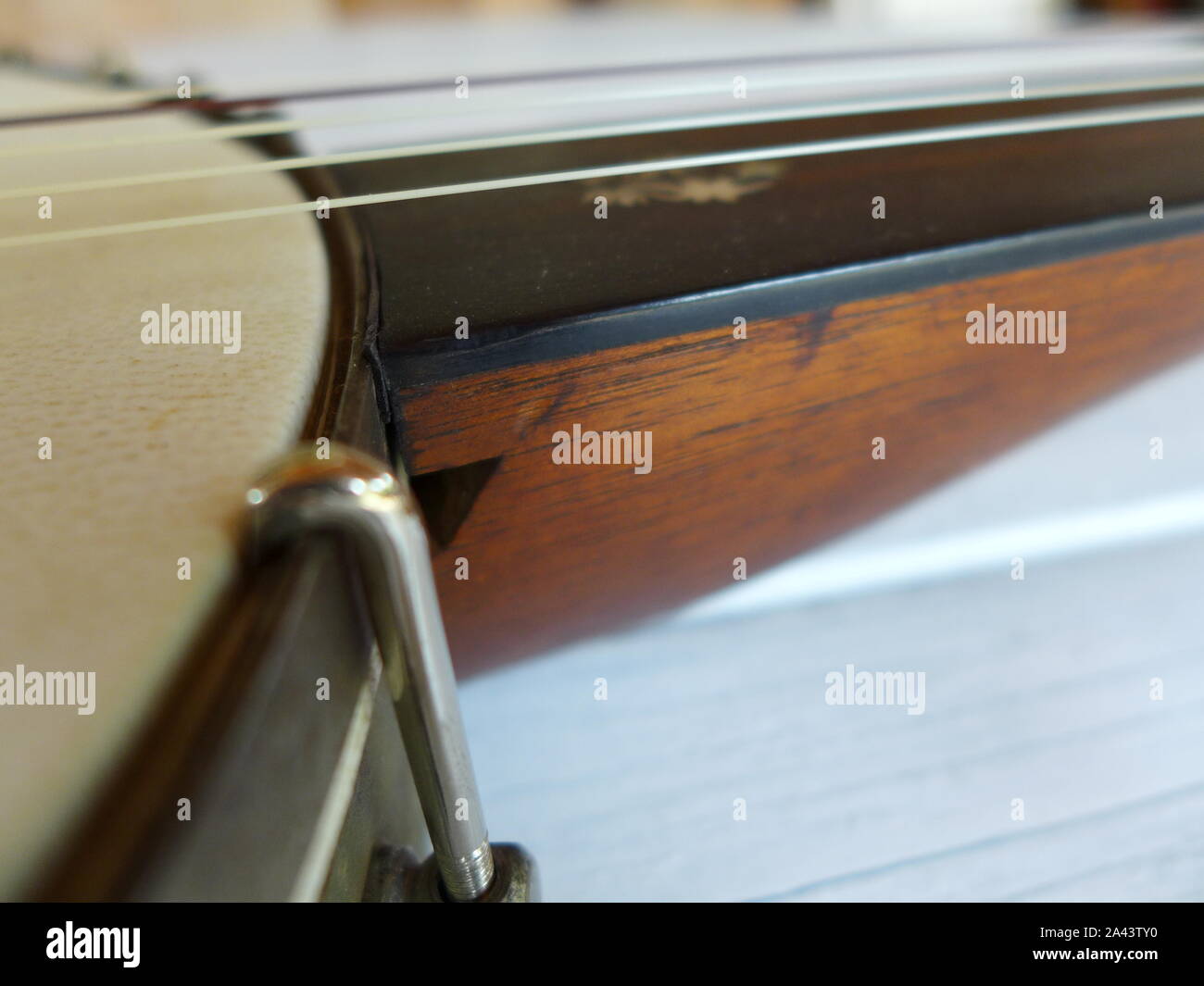 Banjo antique hi-res stock photography and images - Alamy