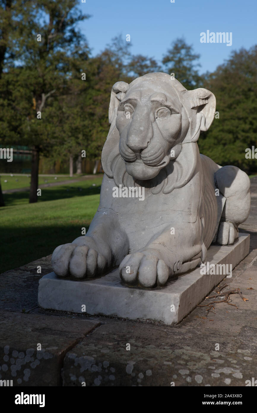 Paeonia moutan hi-res stock photography and images - Alamy