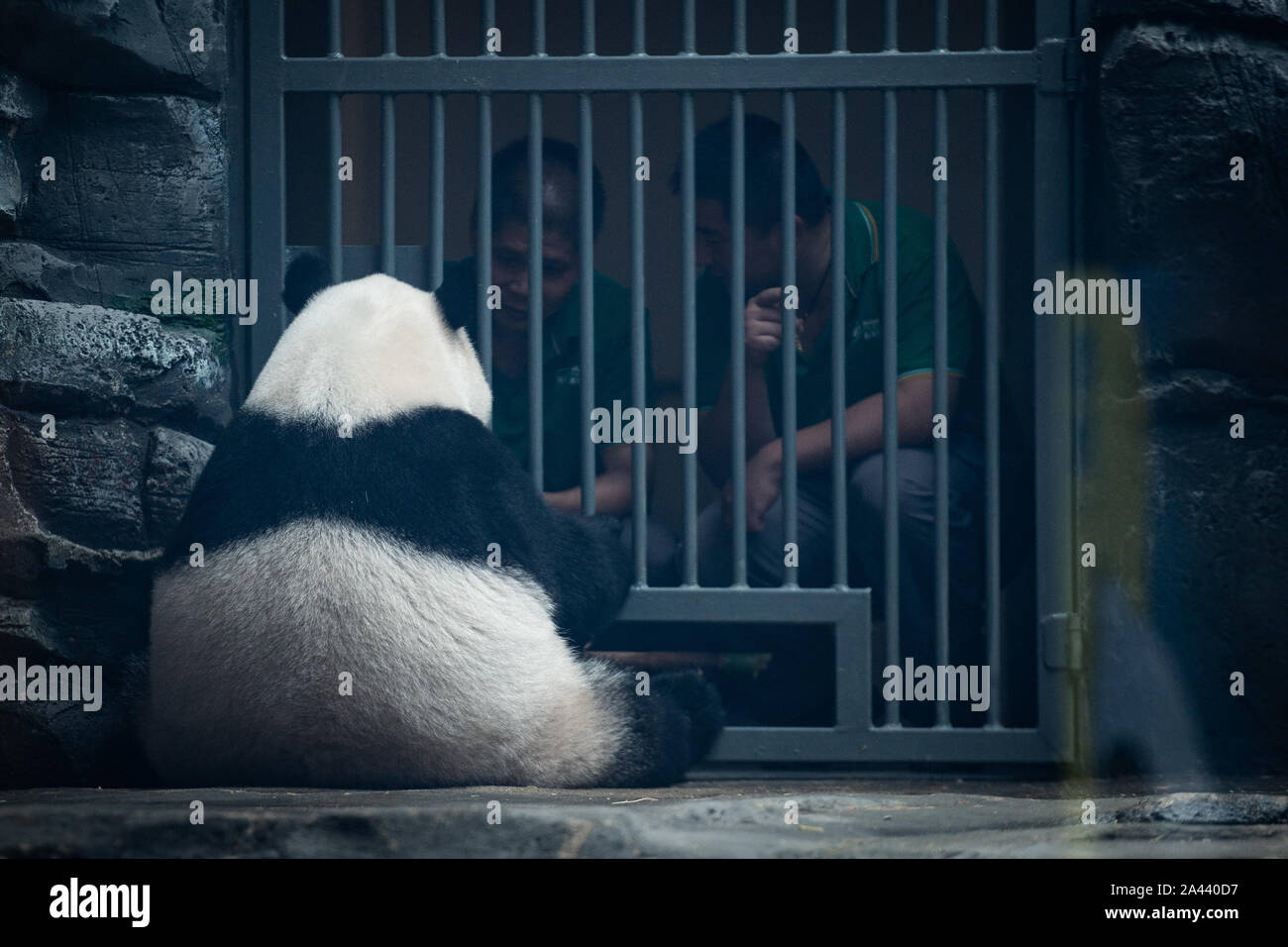 Wuhan, China's Hubei Province. 4th Sep, 2019. Ekpe Udoh (L) of Nigeria ...