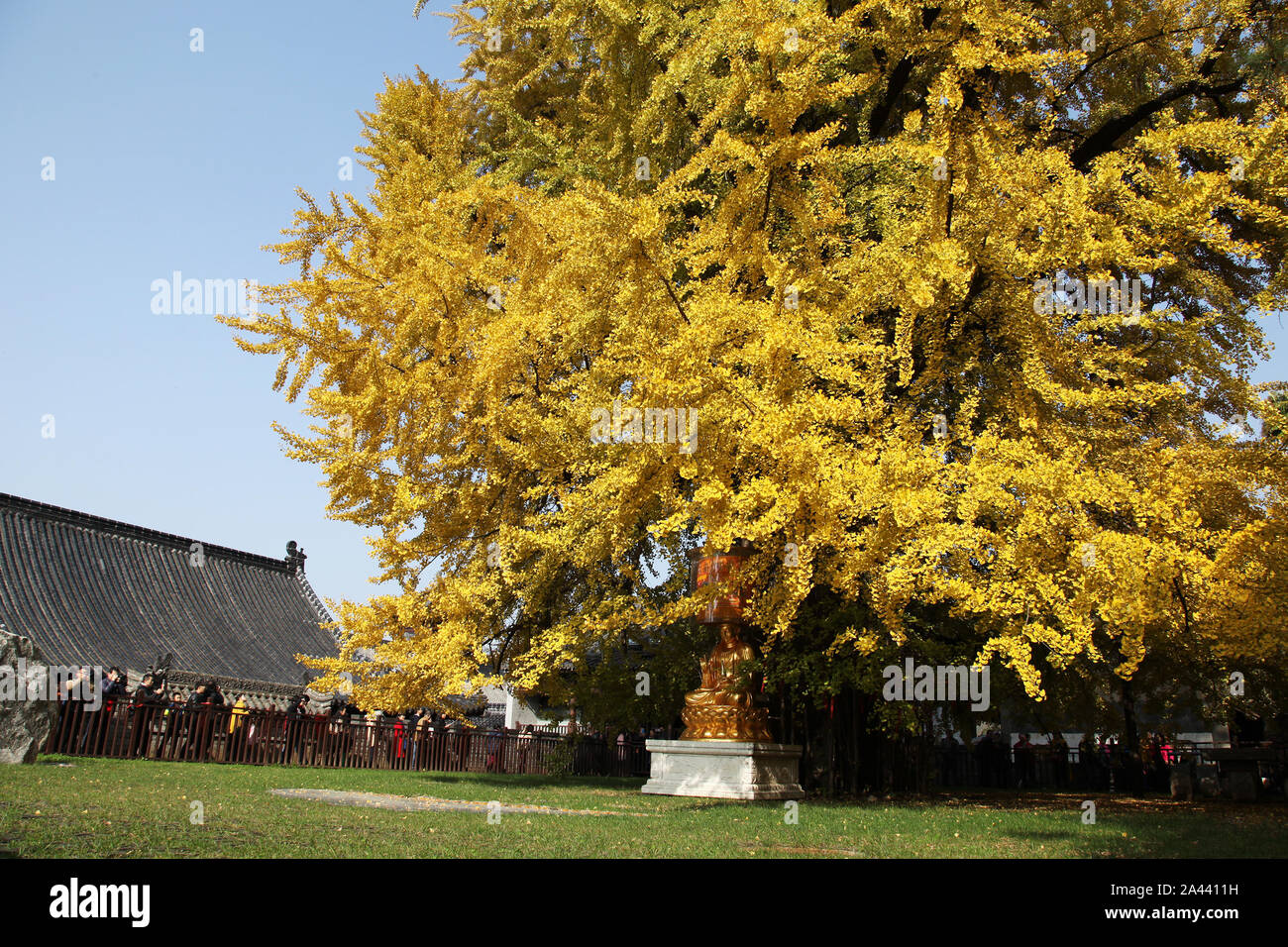 Gu guanyin buddhist temple hi-res stock photography and images - Alamy