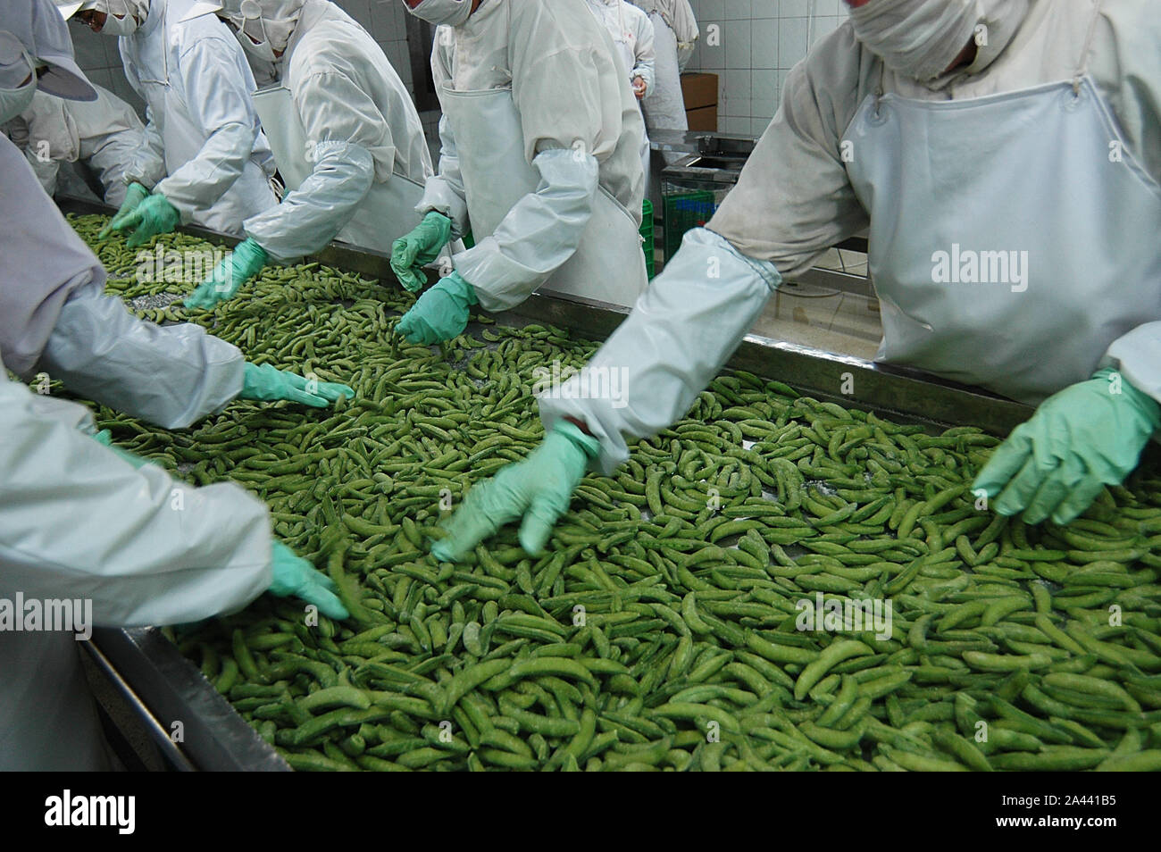 Pea co hi-res stock photography and images - Alamy