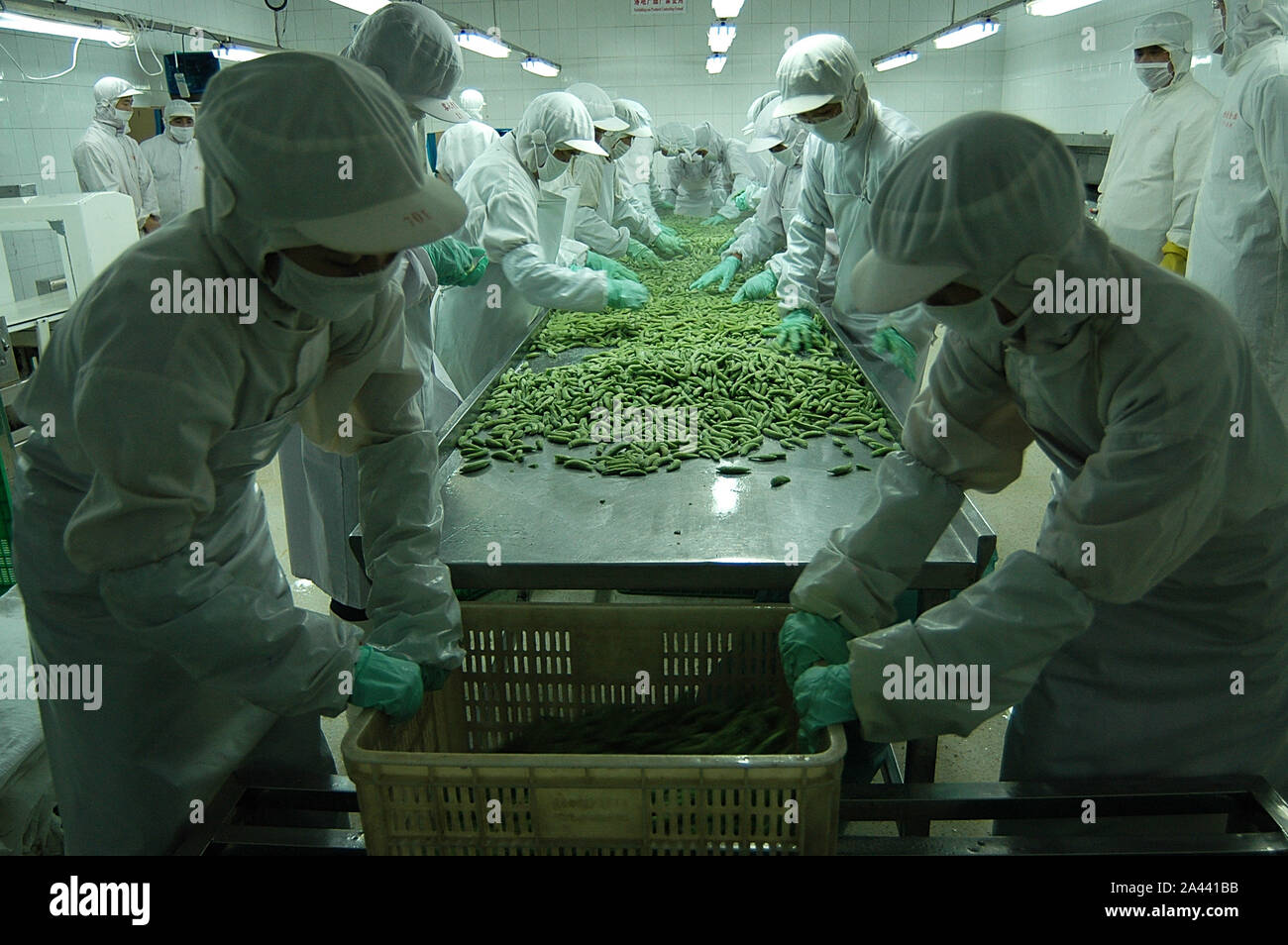 Pea factory hi-res stock photography and images - Alamy