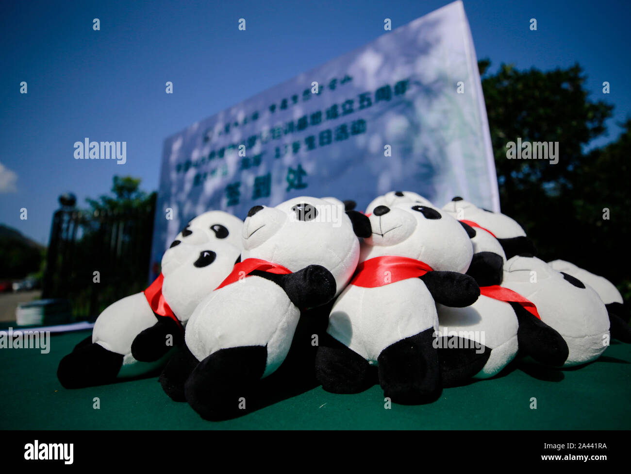 Giant panda-shaped toys for to celebrate the 13th birthday of the giant ...