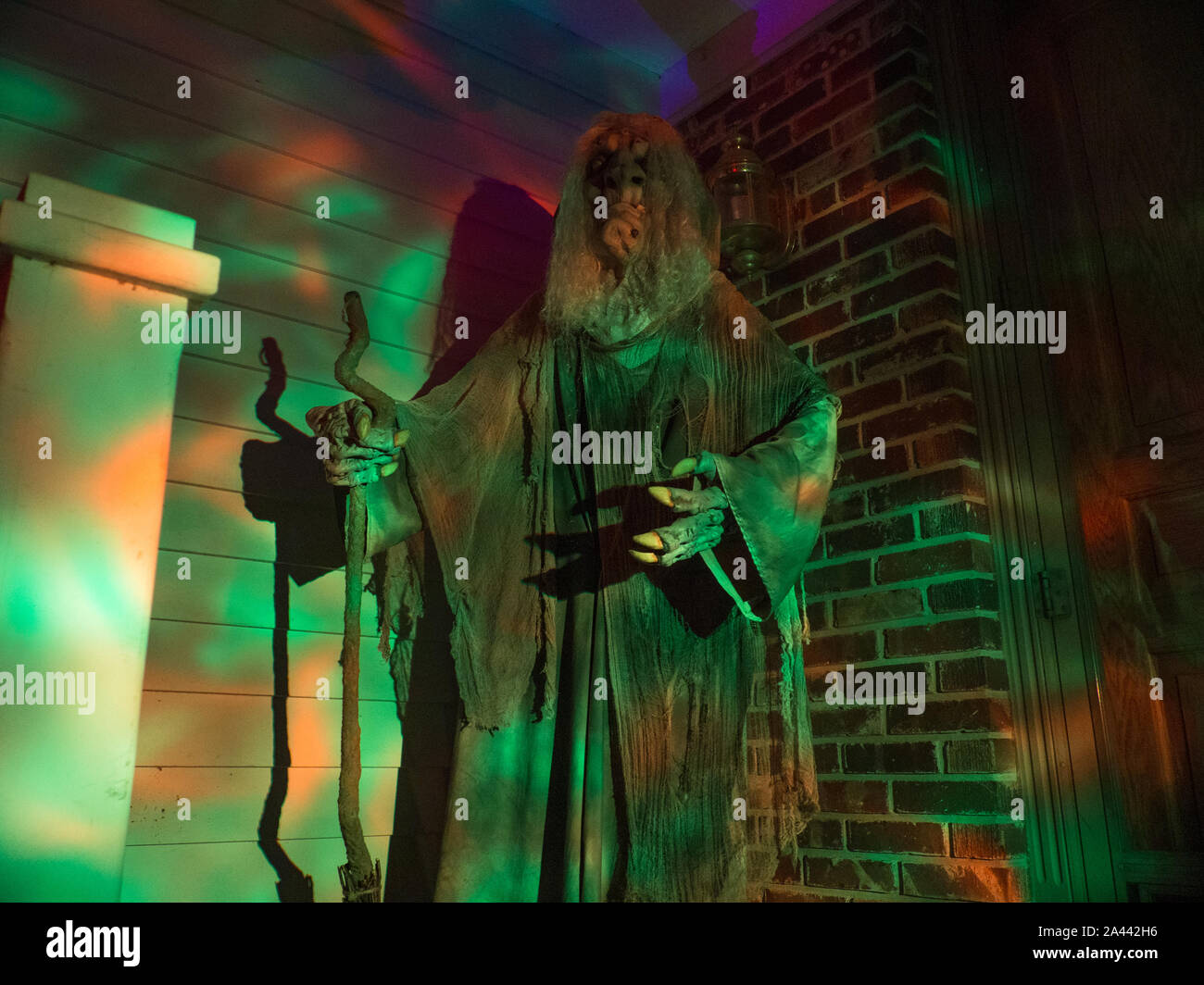 Witch Towering Over You Bathed in Green and Orange Light Stock Photo ...