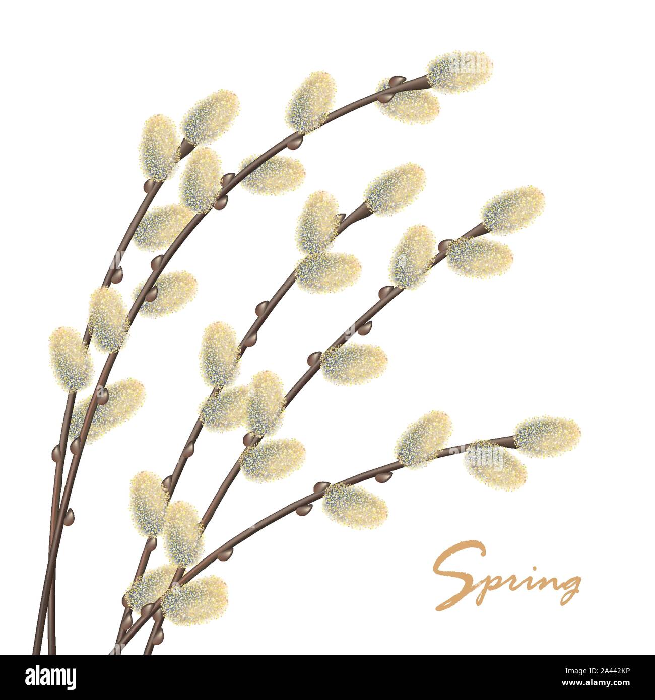 Spring Natural Background Stock Vector Image & Art - Alamy