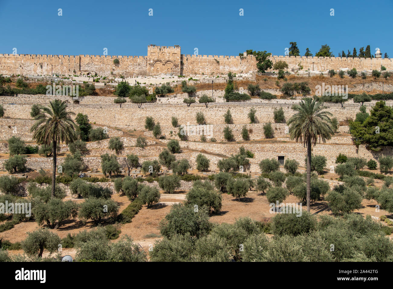 View of the Golden Gate in the Wall from Outside the Old City of ...