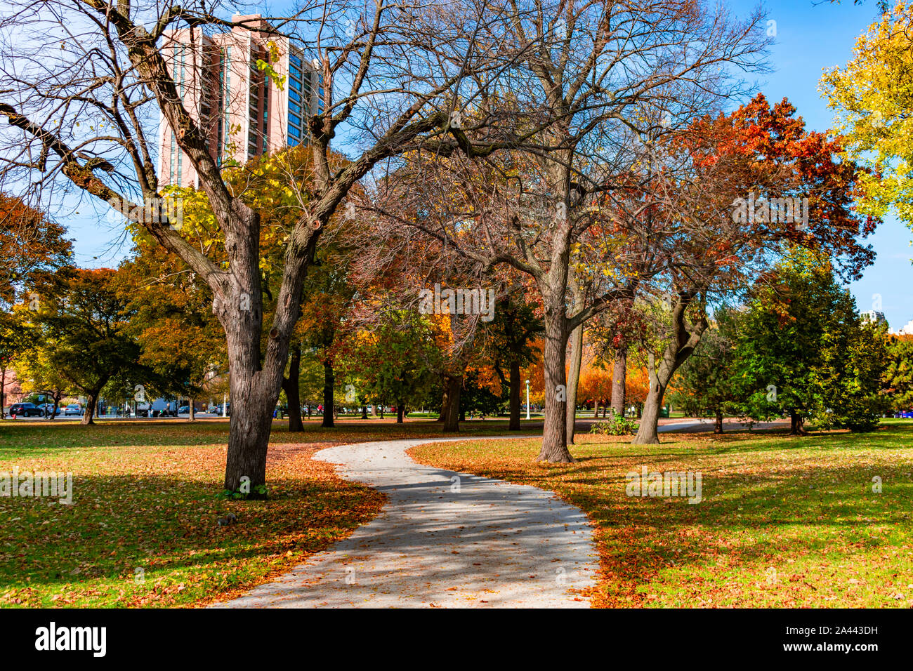 Walkway lined with Colorful Autumn Trees in Lincoln Park Chicago Stock ...
