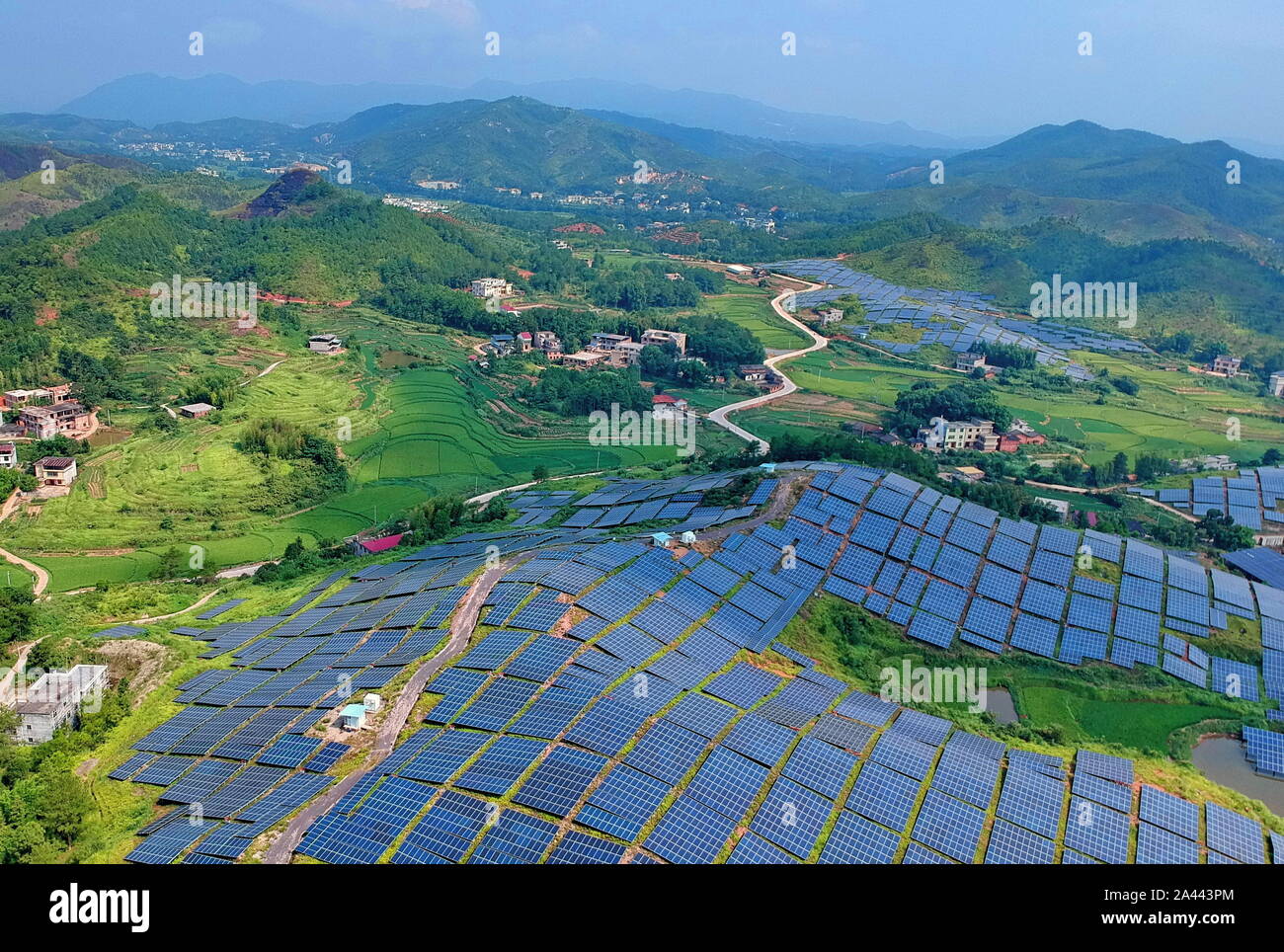 Arrays of solar panels are installed at the uncultivated land on a hill ...