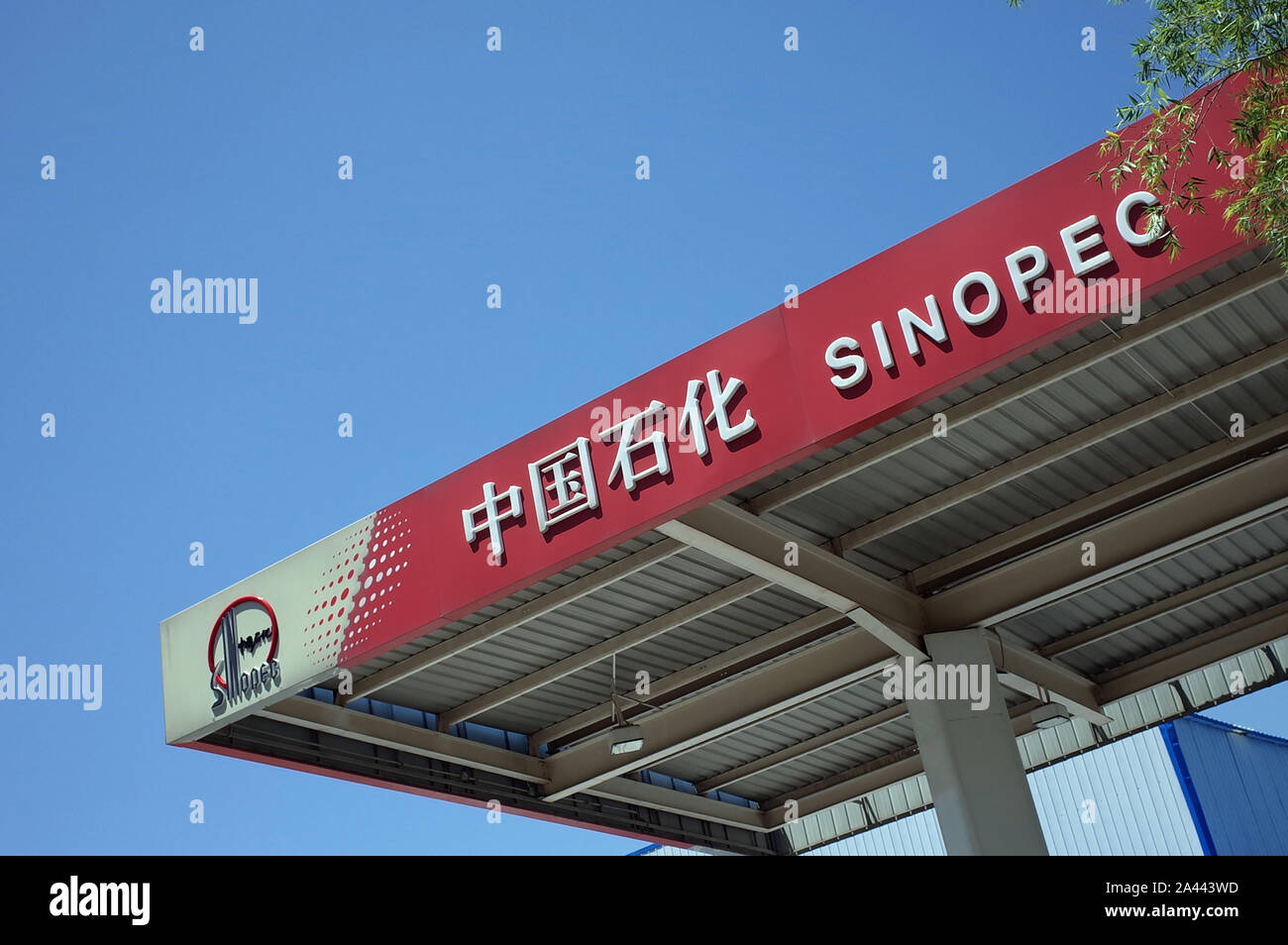 --FILE--View of a gas station of Sinopec (China Petroleum & Chemical ...
