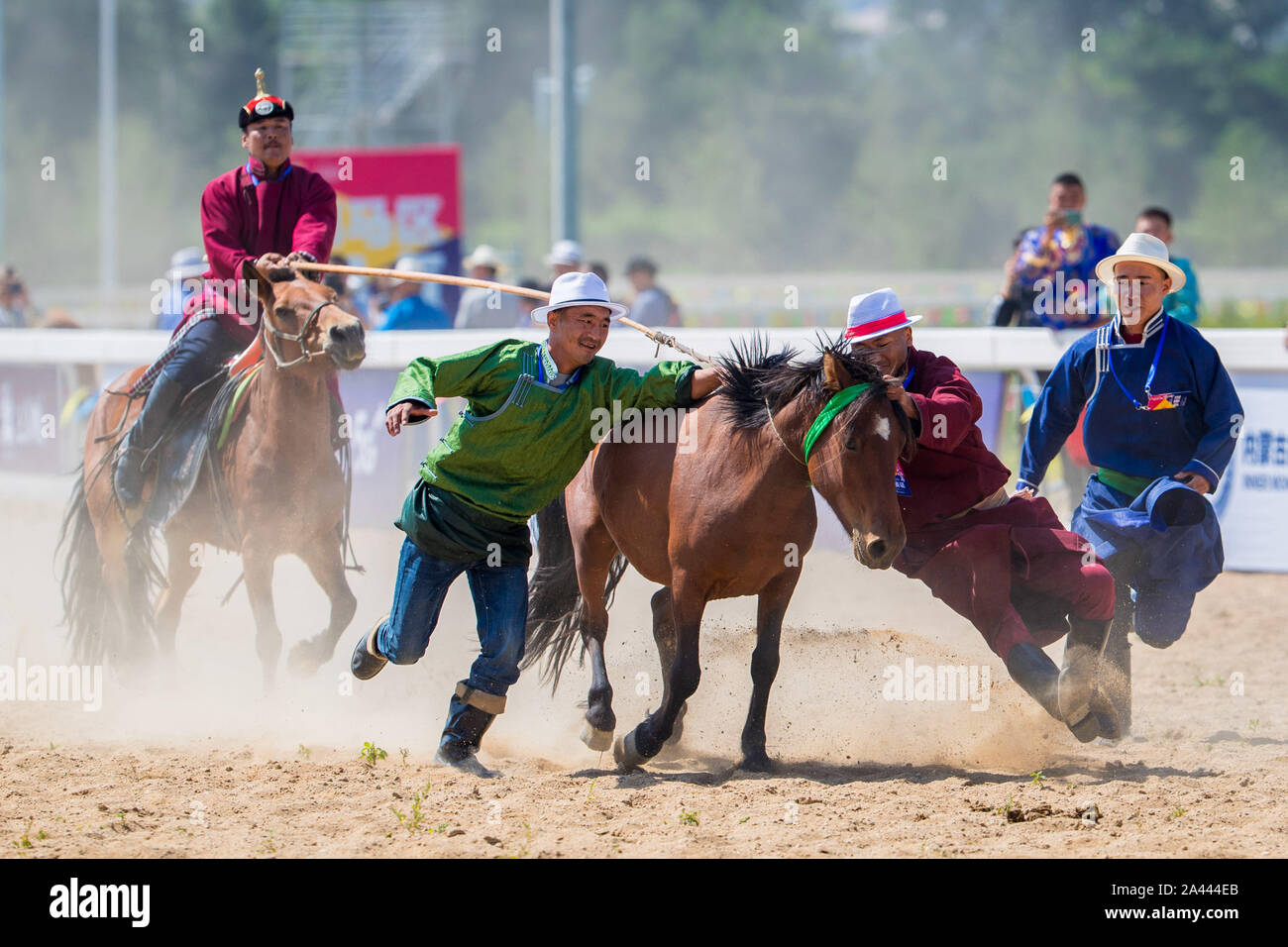 Chinese equestrians take part in a horse training contest in Huhhot ...