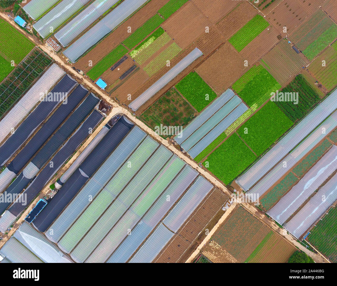 Aerial view of the colorful fields being poured by rains caused by ...
