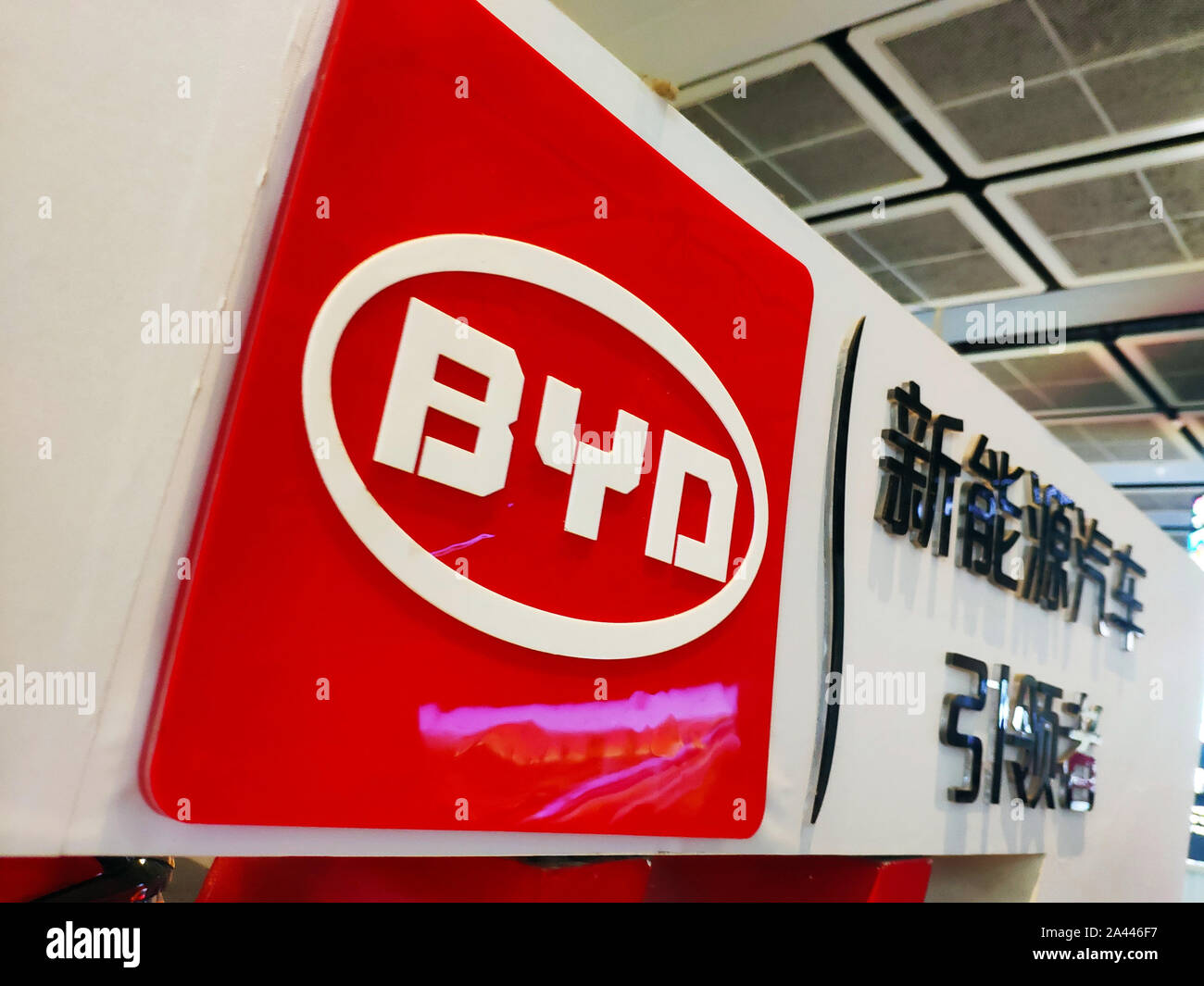 --FILE--View of the stand of China's leading new energy vehicle (NEV ...