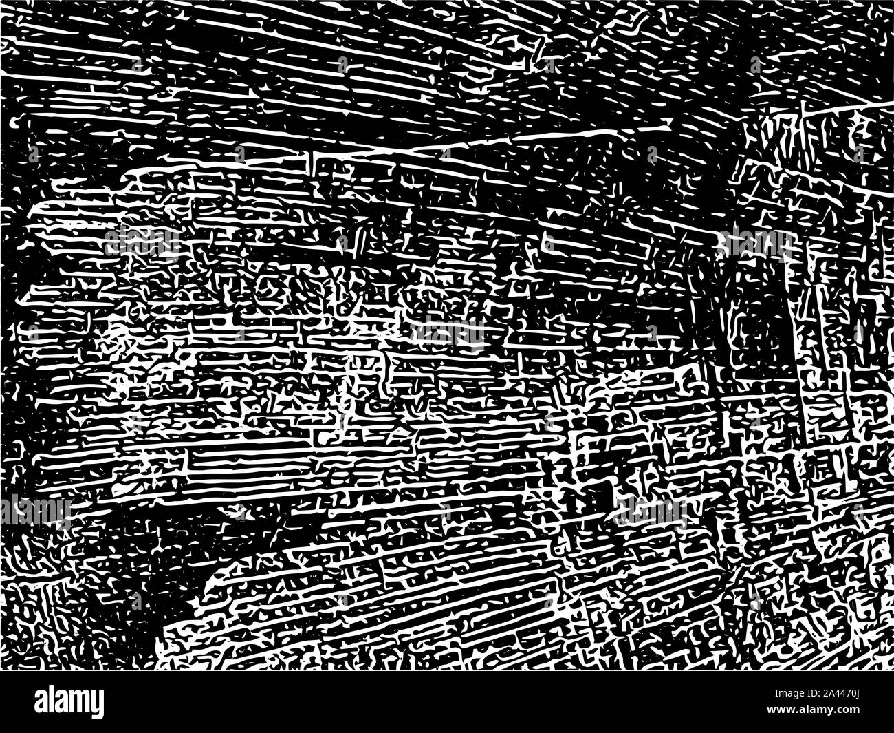 Graphic illustration in black and white. Pencil drawing of bark ...