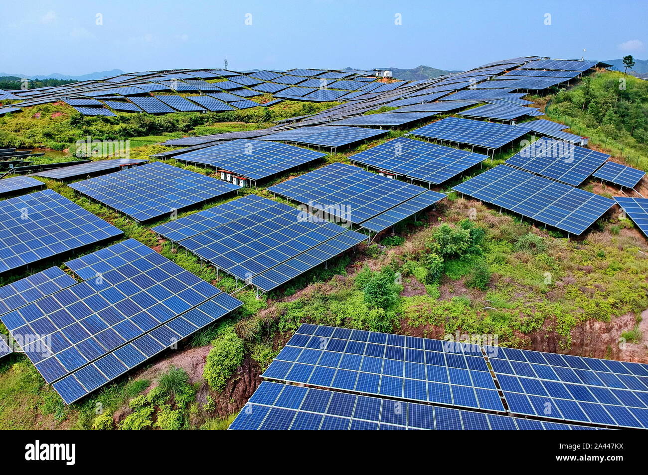 Arrays of solar panels are installed at the uncultivated land on a hill ...
