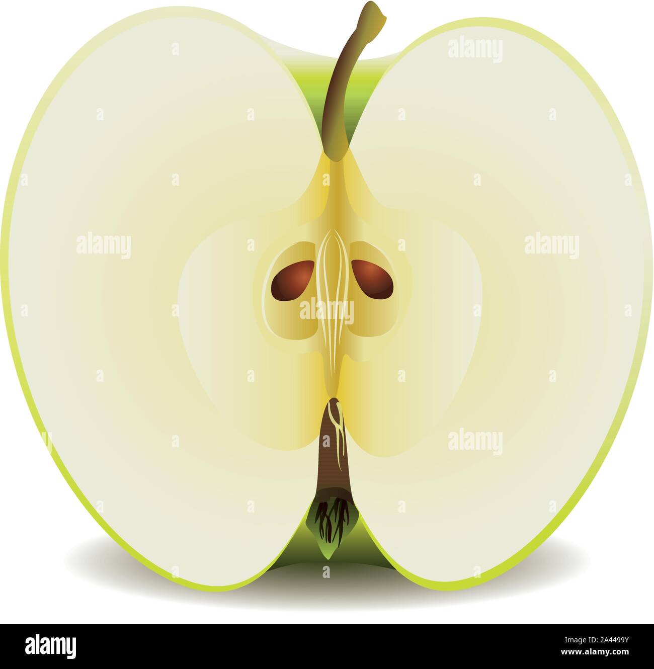 Cartoon sliced apple hi-res stock photography and images - Alamy