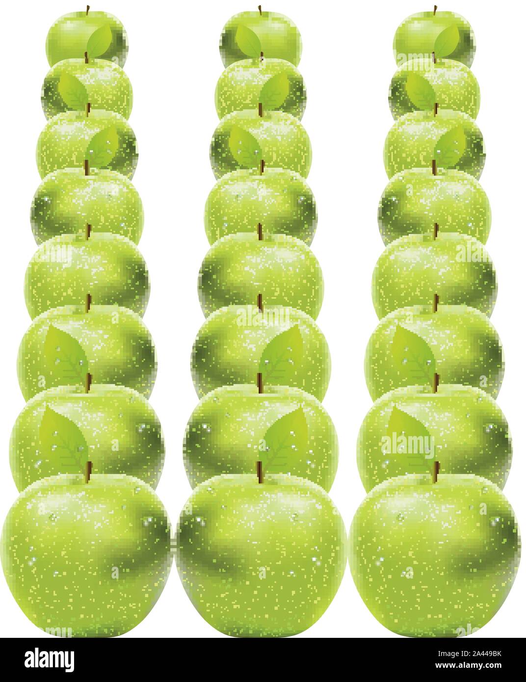 Fresh green apples in rows on white background Stock Vector Image & Art ...