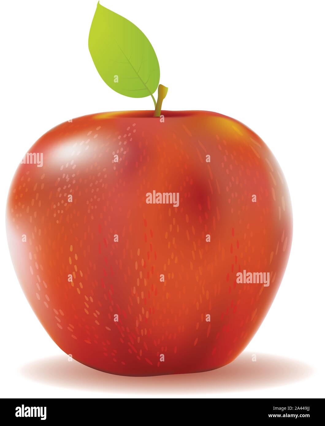 Delicious red apple illustration with on white background Stock Vector ...