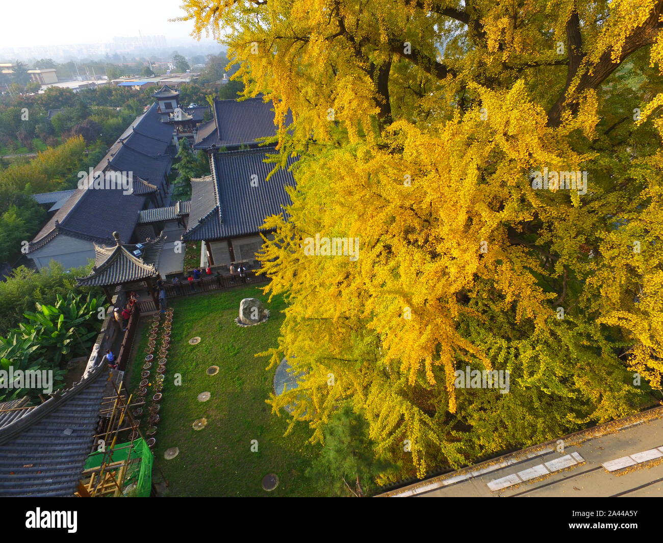 Gu guanyin buddhist temple hi-res stock photography and images - Alamy