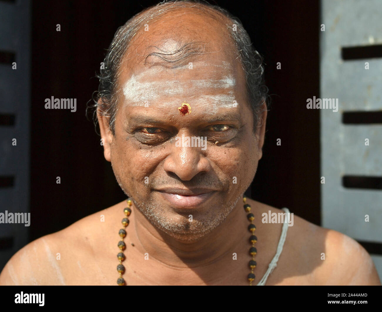 Indian Shaivite brahmin (Hindu priest who worships Shiva) with ...